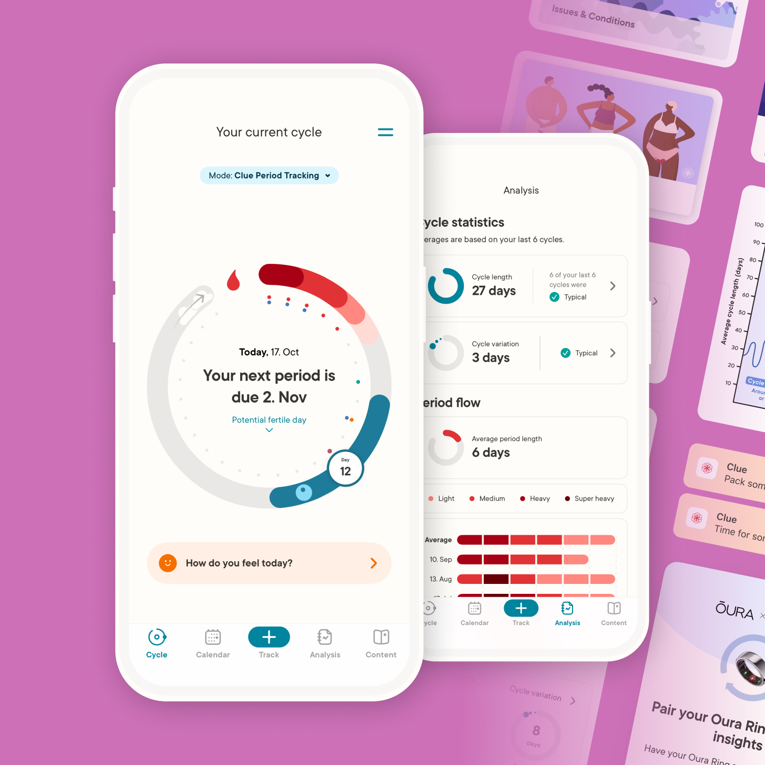 Clue Plus – LOLA